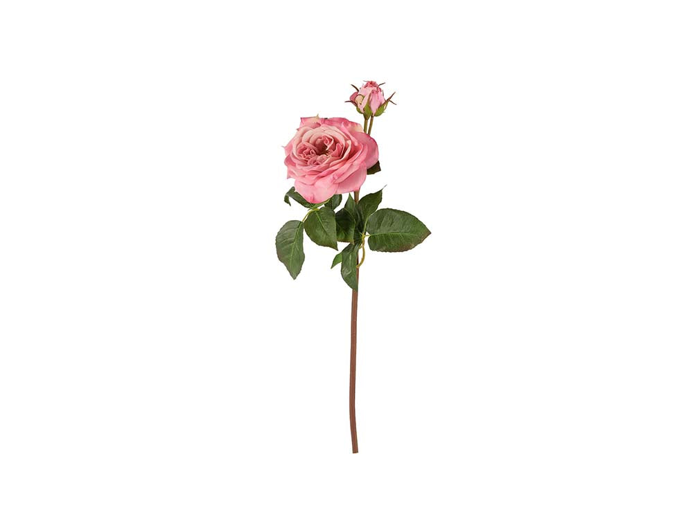 Garden Rose Stem, Pink Fresh Touch – indigo-living-limited